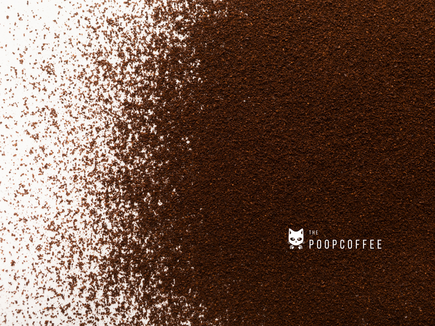 The Poop Coffee | Roasted Kopi Luwak Beans | Delivered Everywhere